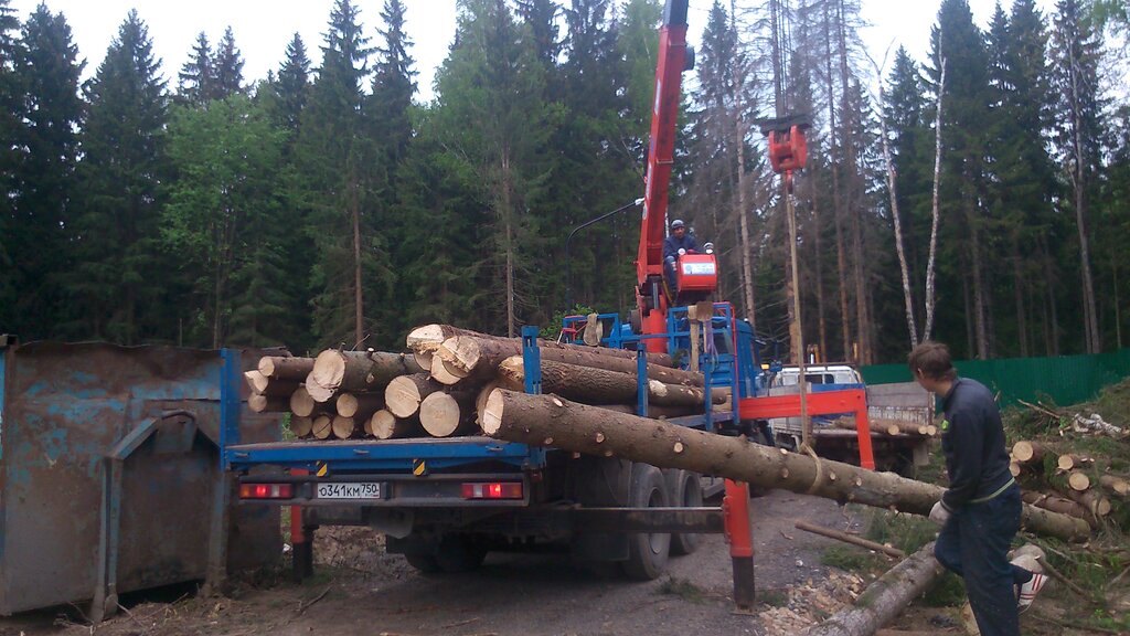 Orman işleri, orman koruma ForestWork, Moskova, foto