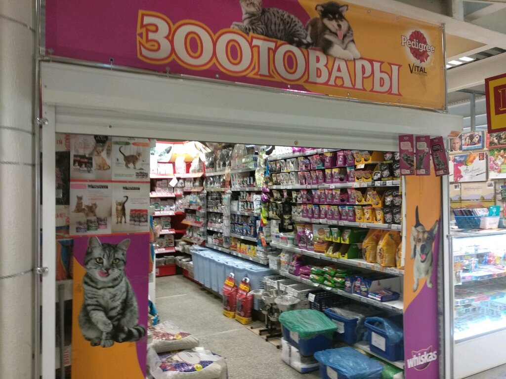 Petshop Zootovary, Perm, foto