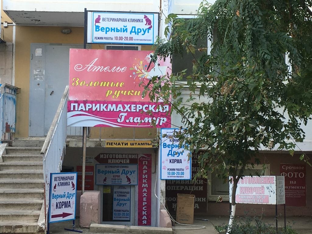 Veteriner klinikleri Zoomagazin, Krasnodar, foto