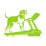 Fitnes Dog (Reshetnikova Drive No:22), pet otel  Yekaterinburg'dan