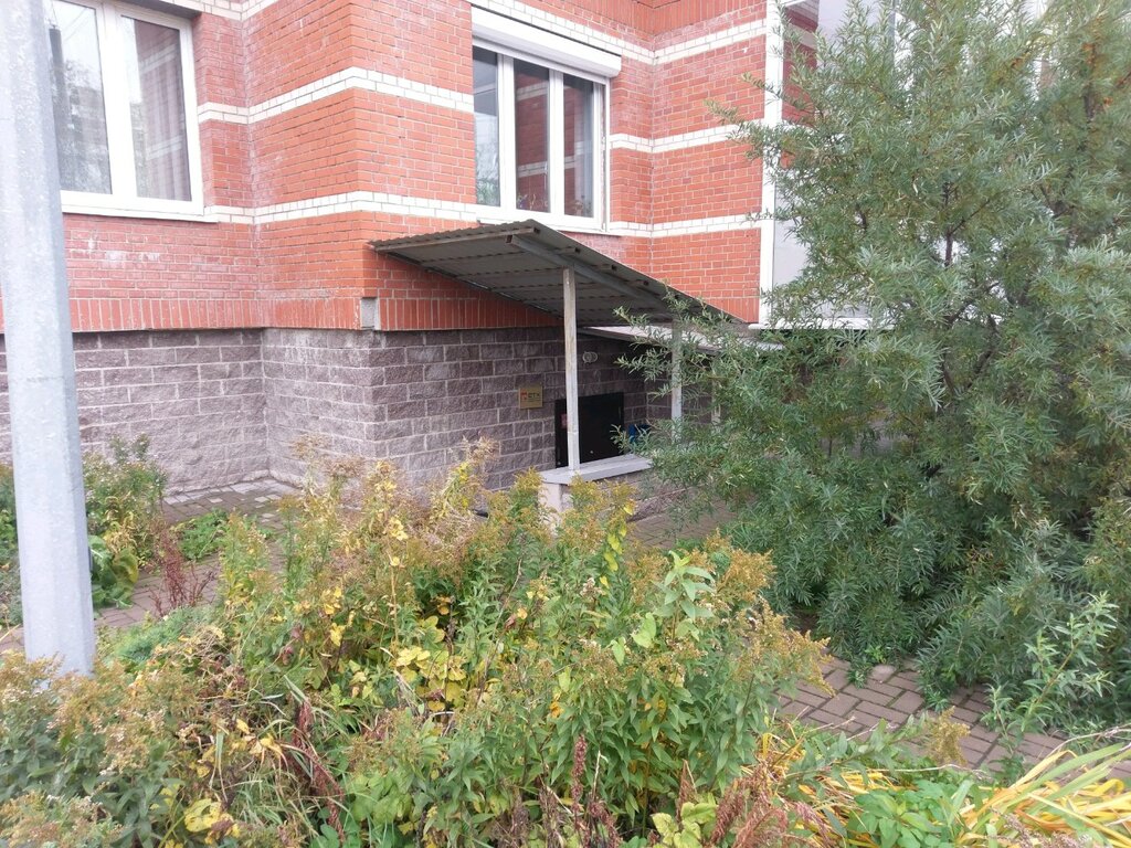 Nakliye firmaları Stk, Saint‑Petersburg, foto