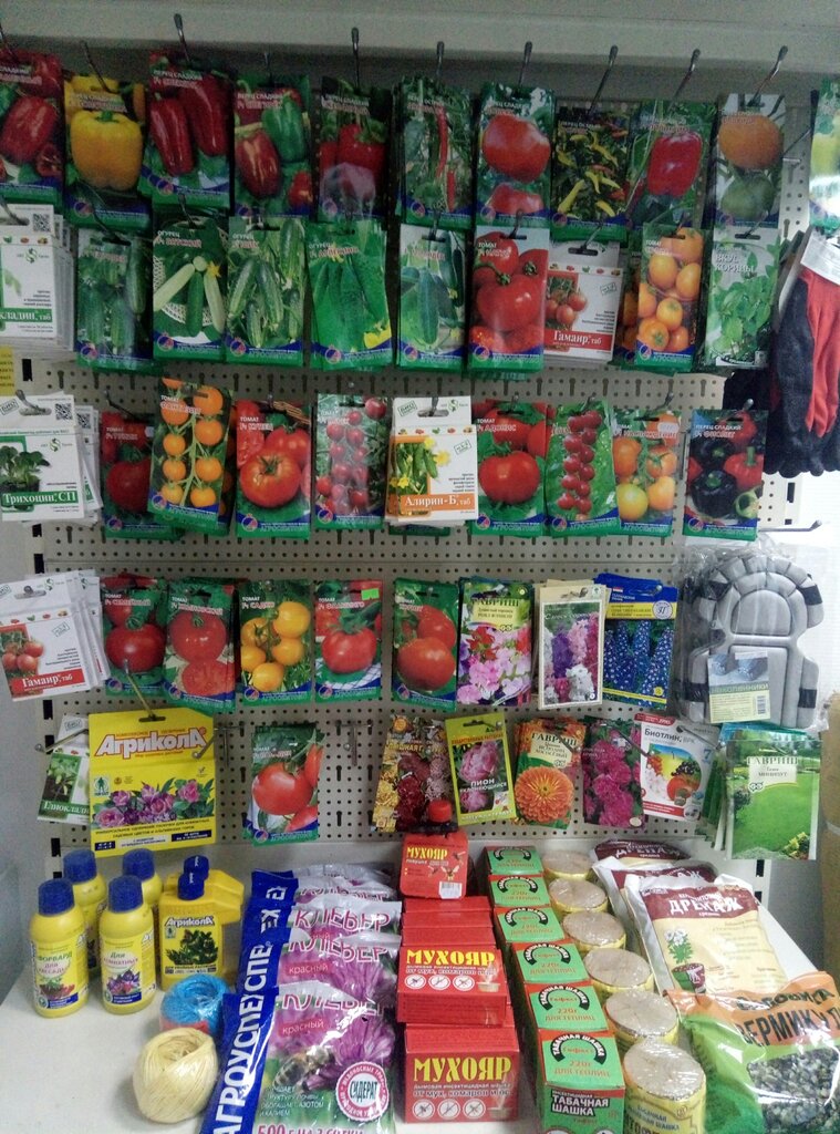 Bahçecilik mağazaları Belaya alleya, Nijni Novgorod, foto