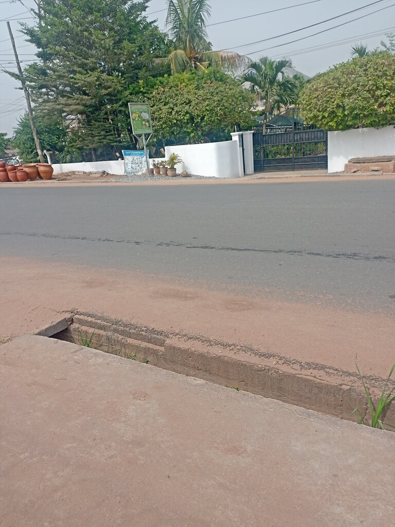 Çiçekçiler Sarahs Flowers Garden, Dünya, foto