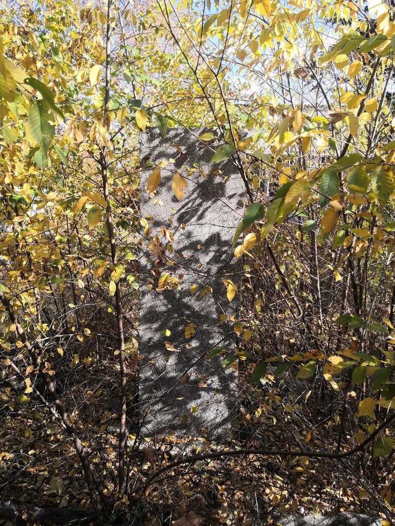 Anıt, heykel Бюст В.И. Чапаева, Kırım Cumhuriyeti, foto