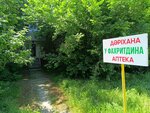 U Fakhriddina (Ábdirazaqov kóshesi No:10), eczaneler  Çimkent'ten (Şımkent'ten)
