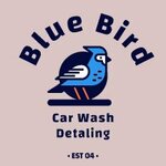 Blue Bird (Starobitsevskaya Street No:4с1), oto yıkama  Moskova'dan