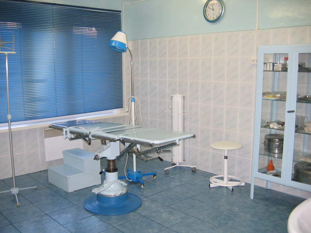 Özel muayenehaneler Esculap, Tayshet, foto