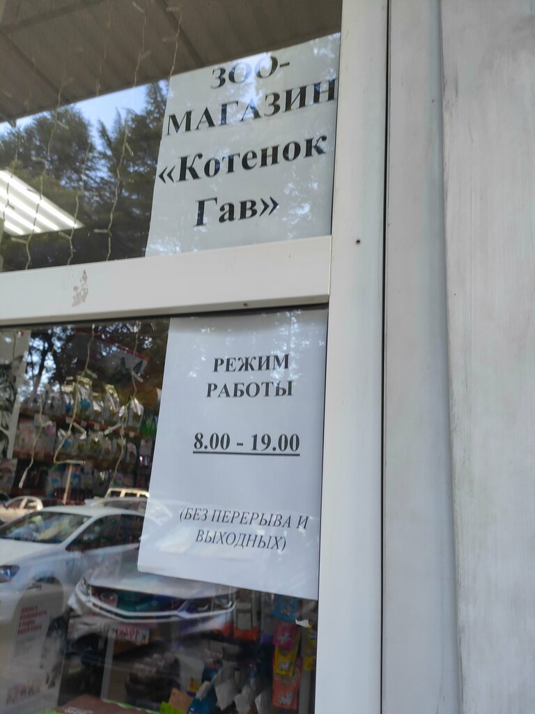Petshop Kotenok Gav, Soçi, foto
