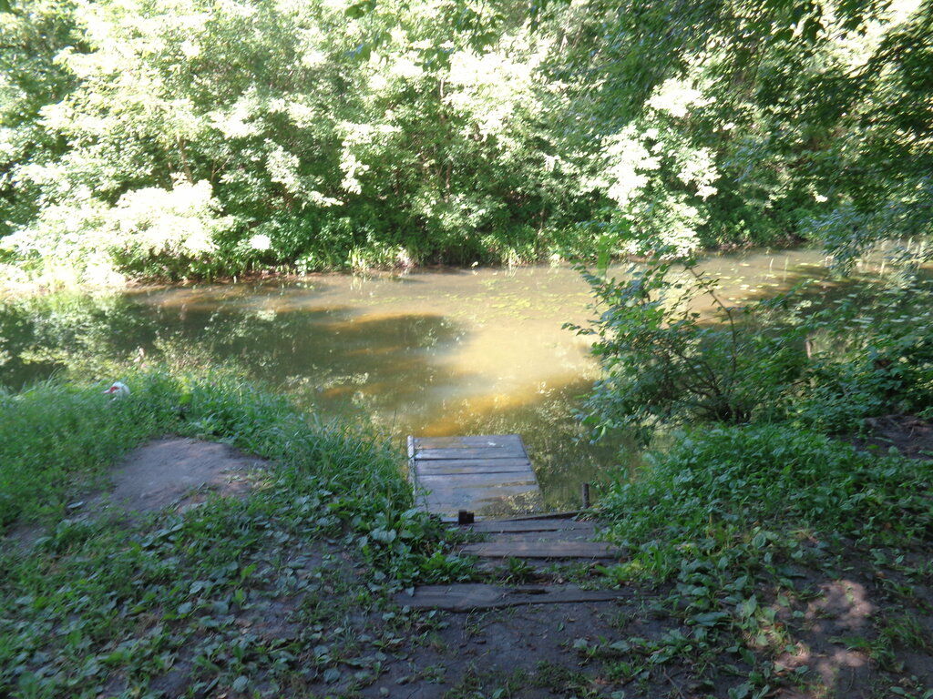 Plaj Пляж, Tambovskaya oblastı, foto