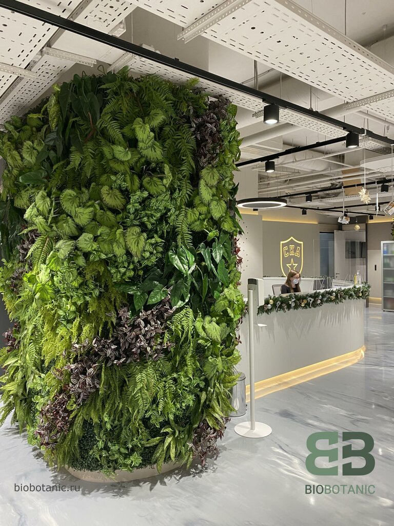 Çevre peyzaj hizmetleri Biobotanic, Saint‑Petersburg, foto