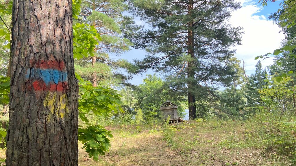 Ünlü kişilerin mezarları Могила подростка-сплавщика, Mariy El Cumhuriyeti, foto