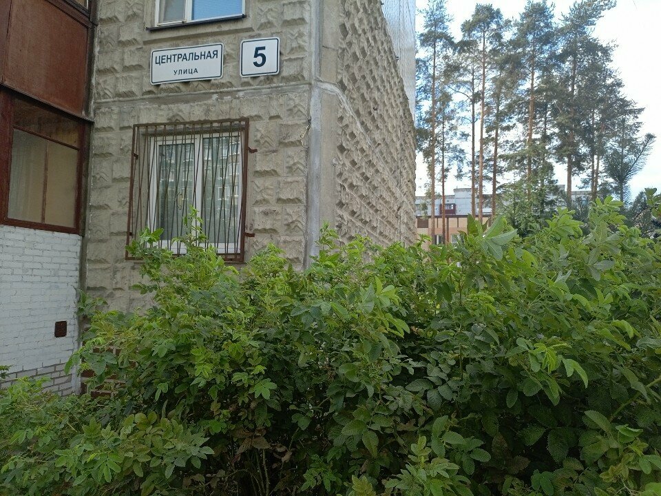 Kasap, şarküteri Свежее мясо и птица, Sertolovo, foto