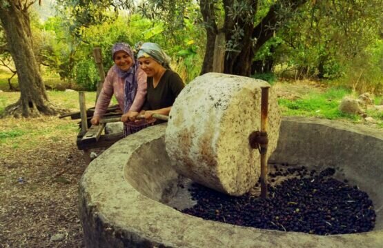 Market Fethiye Naturel, Fethiye, foto