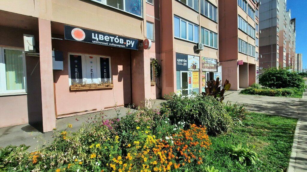Bira dükkanı Бар у дома, İvanovo, foto