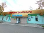 Allergy Test (Kúıshi Dına kóshesi No:2), tanı merkezleri  Astana'dan