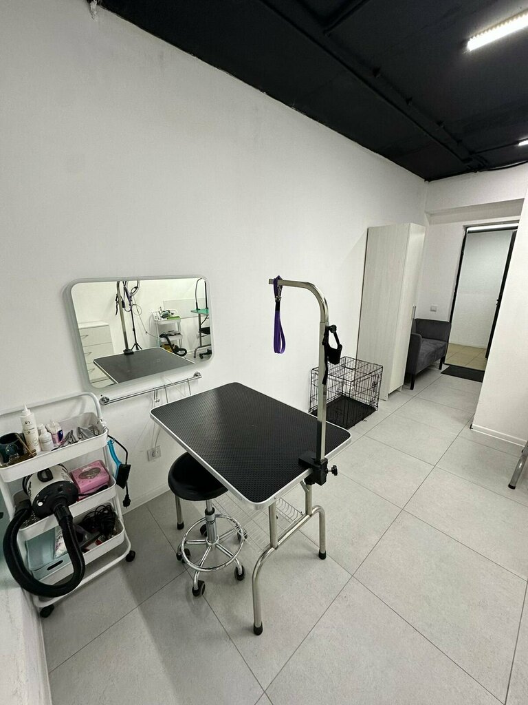 Evcil hayvan kuaförleri Gruming Yulii Mel'nikovoy, Penzenskaya oblastı, foto