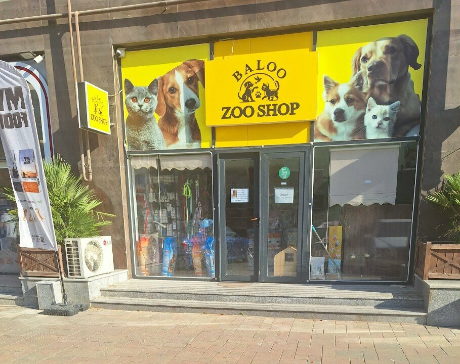 Petshop Baloo, Bakü, foto