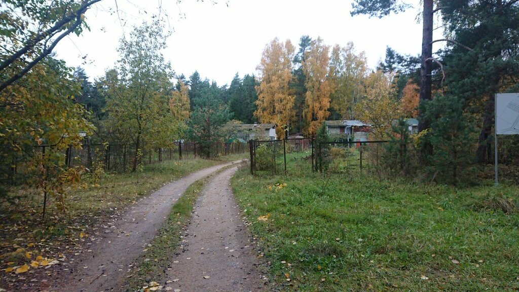 Garajlar Лодочный кооператив Лесной, Sosnoviy Bor, foto
