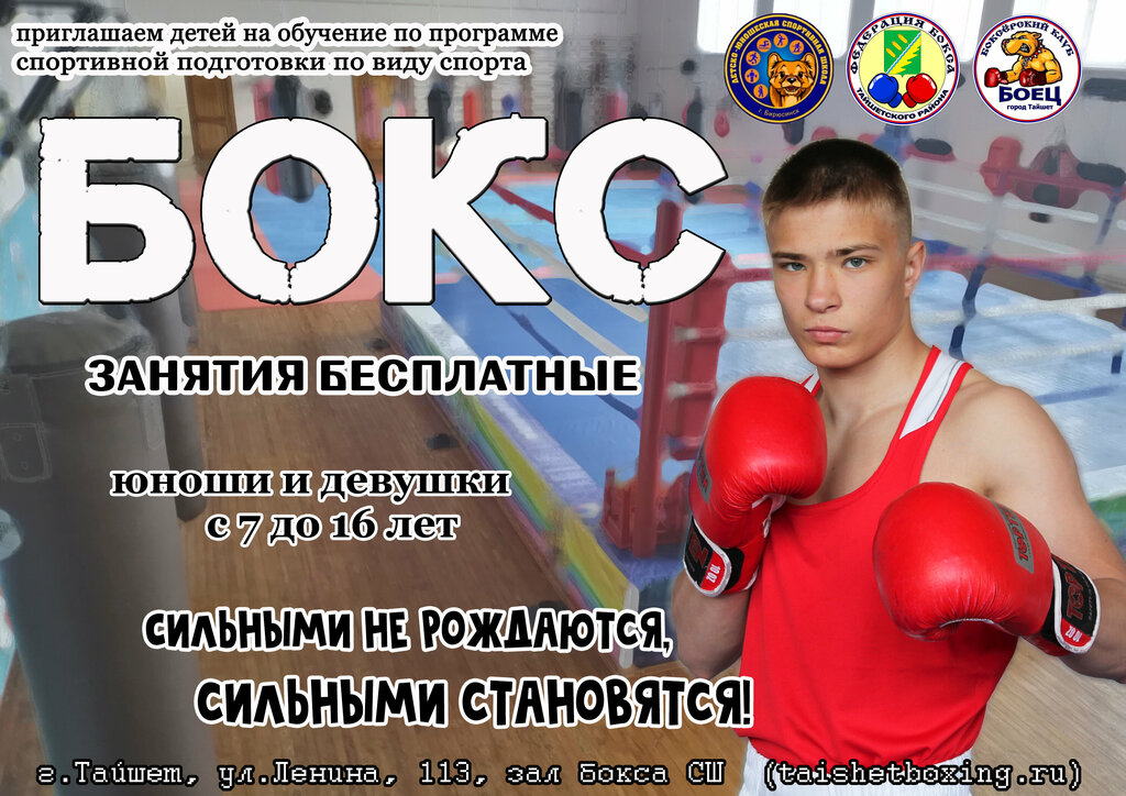 Sivil toplum kuruluşları Taishet district Boxing Federation, Birusinsk, foto