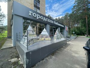 Gorodskaya biblioteka im. V. G. Rasputina (naberezhnaya imeni V.I. Lenina No:25), kütüphaneler  Divnogorsk'tan