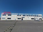 Automai and Battery Store (Sábıt Muqanov kóshesi No:35), yağlama ürünleri  Astana'dan