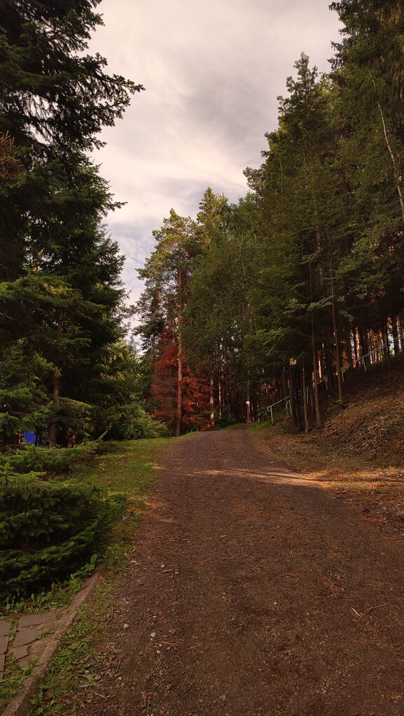 Resort oteller, tesisler База отдыха Ивушка, Udmurtiya, foto