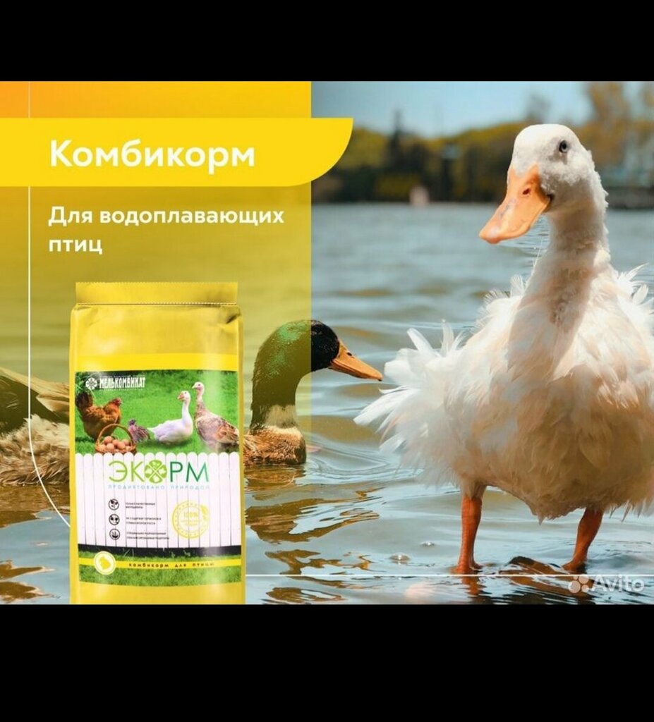 Yem ve yem katkı maddeleri Мир кормов, Moskova ve Moskovskaya oblastı, foto
