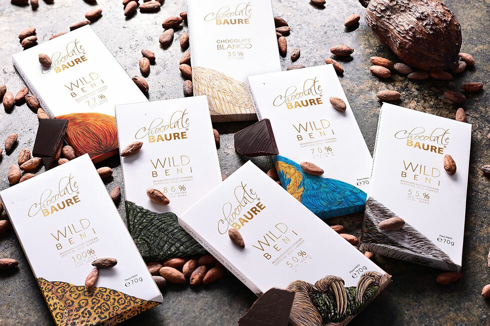 Pasta, şekerleme ve tatlı Chocolate Baure, Santa‑Krus, foto