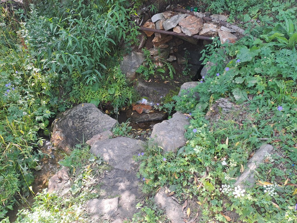 Pınar, çay Spring, stream, Altayski krayı, foto