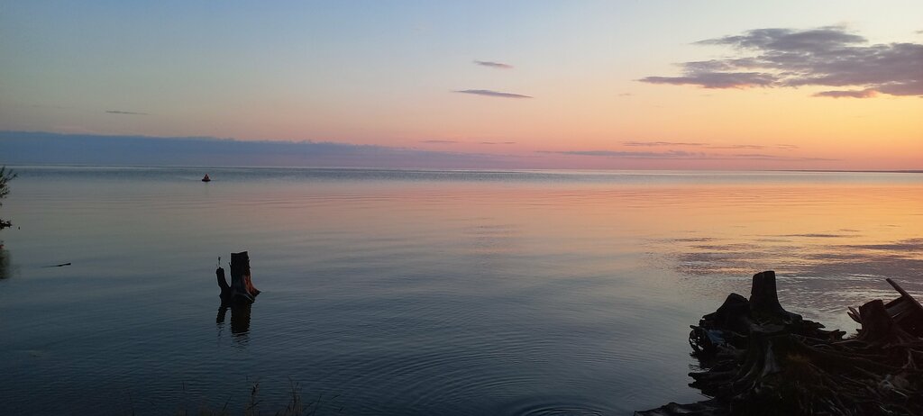 Resort oteller, tesisler Домики, Vologodskaya oblastı, foto