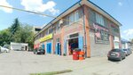 Оазис (Moskovskaya Street No:2А), kafe  Vladikavkaz'dan