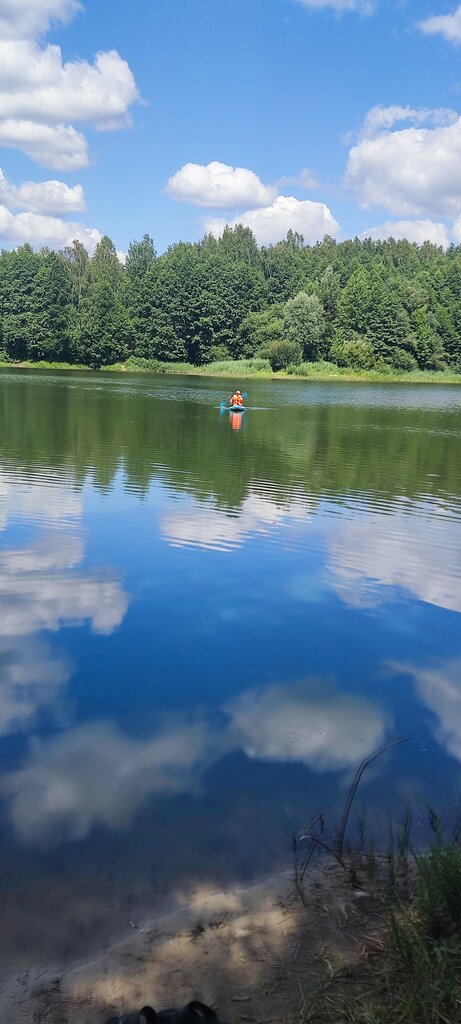Plaj Пляж, Brianskaya oblastı, foto
