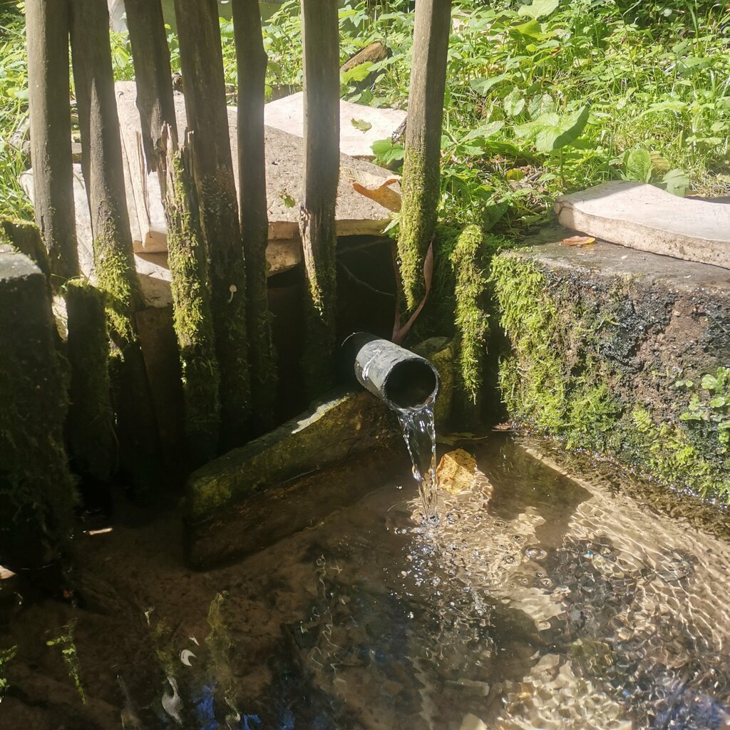 Pınar, çay Spring, stream, Moskova ve Moskovskaya oblastı, foto