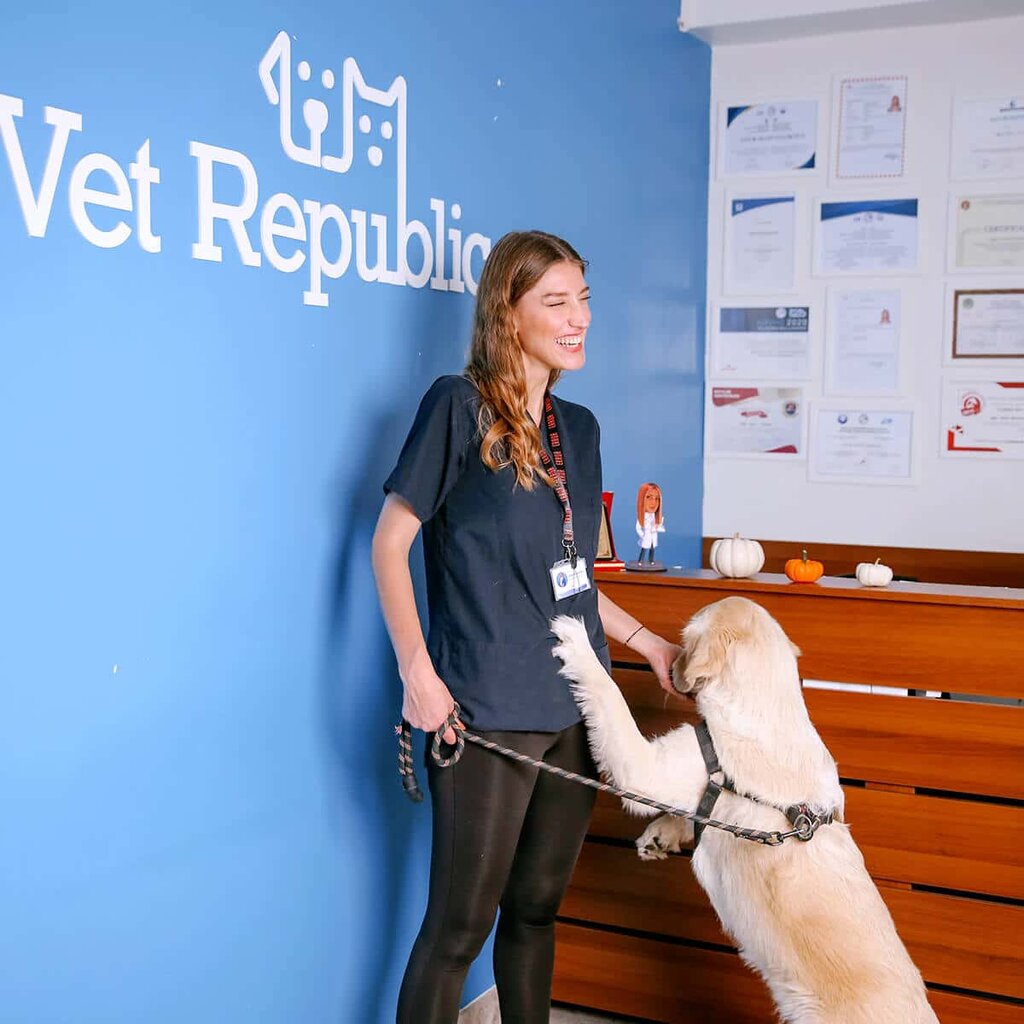 Veteriner klinikleri Vet Republic Veteriner Kliniğine, İstanbul, foto
