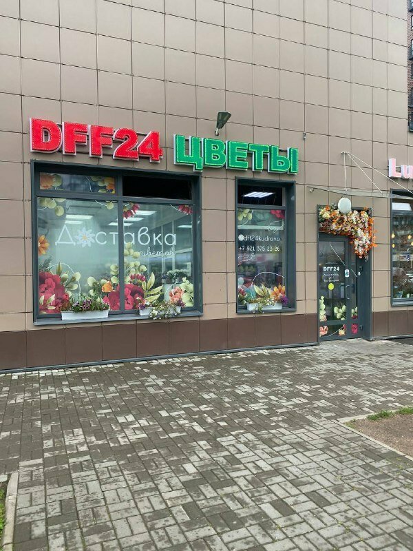 Çiçekçiler Dff 24, Kudrovo, foto