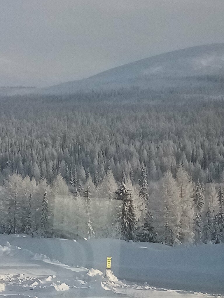Metalurji ГРК Самолазовский, Saha Cumhuriyeti (Yakutistan), foto