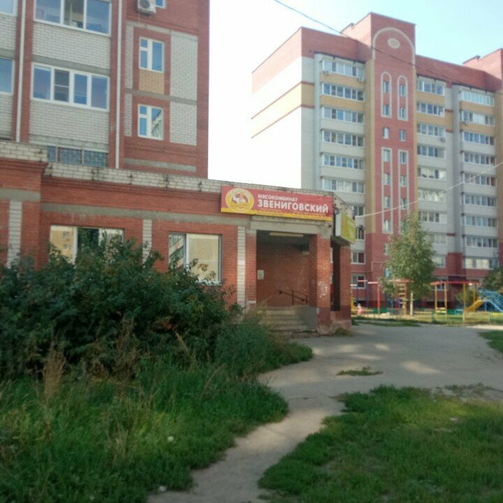Kasap, şarküteri Myasokombinat Zvenigovsky, Yoshkar‑Ola, foto