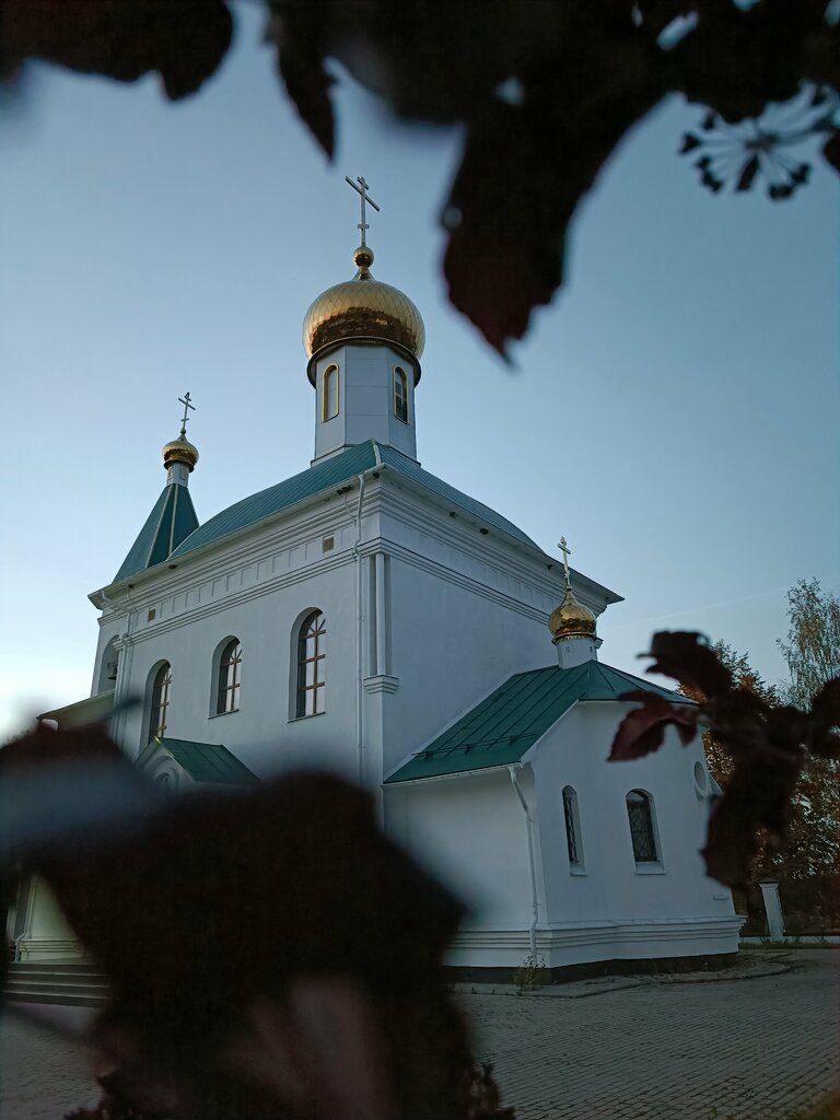 Ortodoks kiliseleri Церковь Троицы Живоначальной, Vologodskaya oblastı, foto