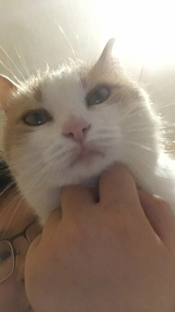 Ehliyet sınav alanı Площадка для вождения, Orenburg, foto