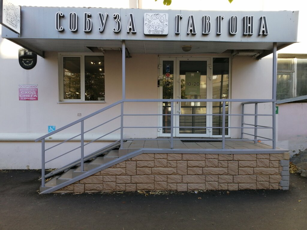Evcil hayvan kuaförleri Sobusa Gavgona, Kazan, foto