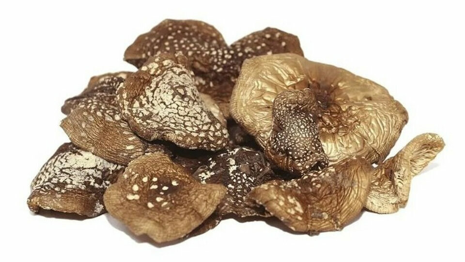 Mantar yetiştirme ve satış Муховорот Мухомор и ежовик, Rostov‑na‑Donu, foto