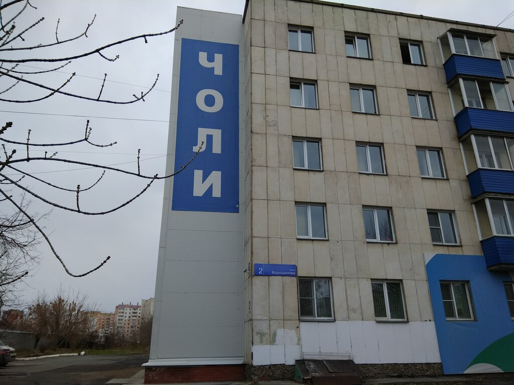 Yurtlar Obshchezhitiye Chelyabinskogo oblastnogo litseya-interneta, Çeliabinsk, foto