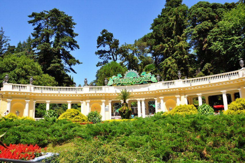 Kültür ve eğlence parkları Dendrarium Dendrological Park of Federal Significance and Villa Nadezhda, Soçi, foto