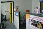 Ambulatorio Veterinario Argentero (Piedmont, Torino, Via Giovanni Argentero, 1), veteriner klinikleri  Piyemonte'den