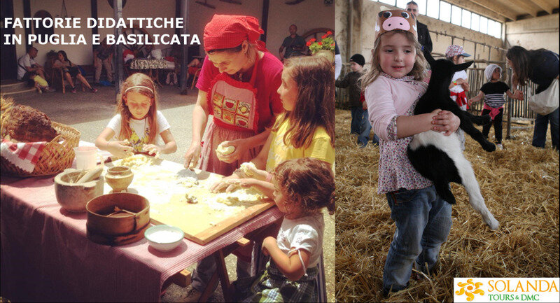 Seyahat acenteleri Solanda Tours & Mice, Puglia, foto