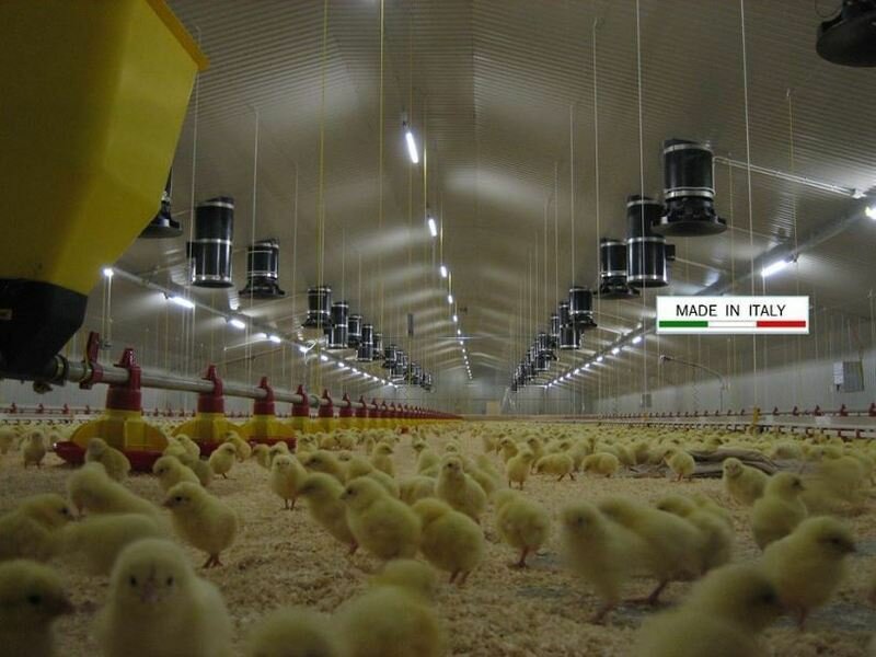 Tarım makineleri, ekipmanlar Codaf, Lombardiya, foto