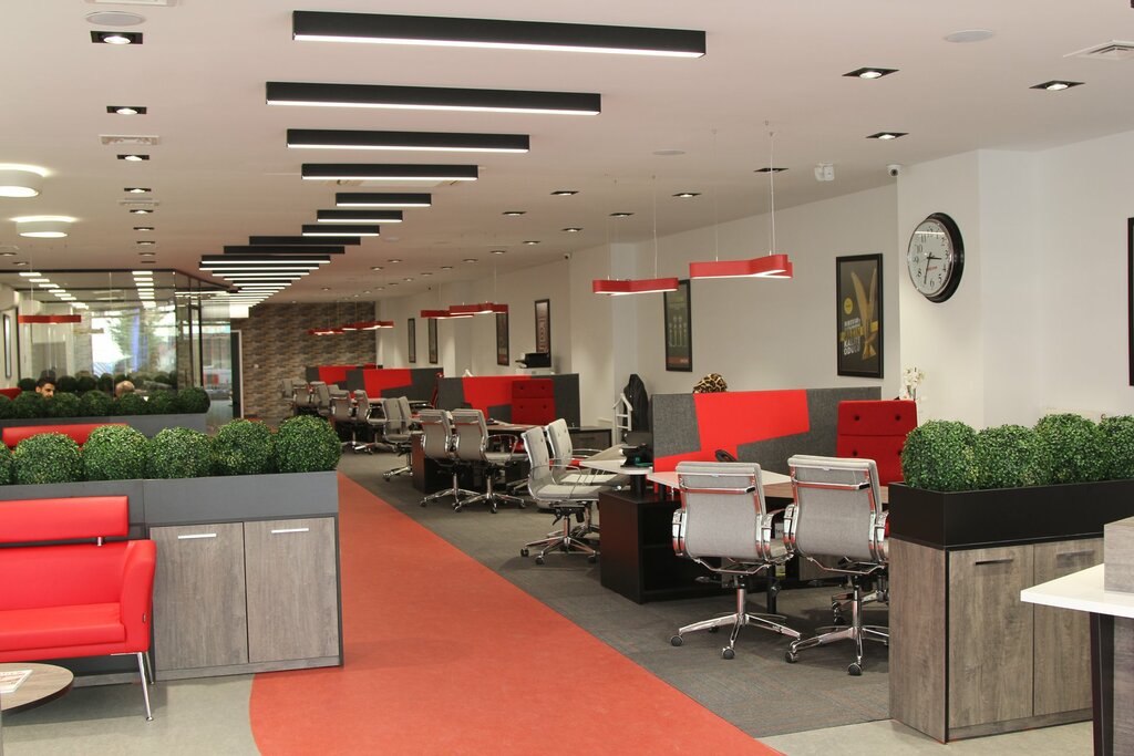 Finansal danışmanlık Birevim Esenyurt, İstanbul, foto