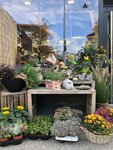 Blumen Lehne (Obermarkt No:57, Reutte), çiçek teslimatı  Tirol'den