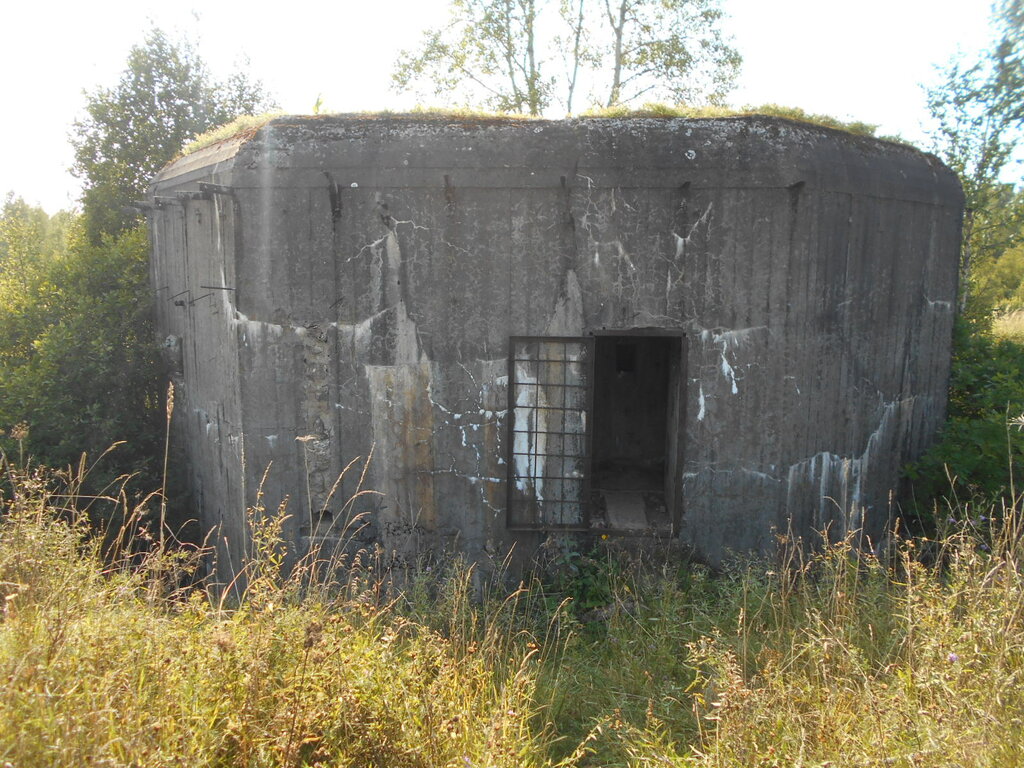 Turistik yerler Долговременная огневая точка, Pskovskaya oblastı, foto