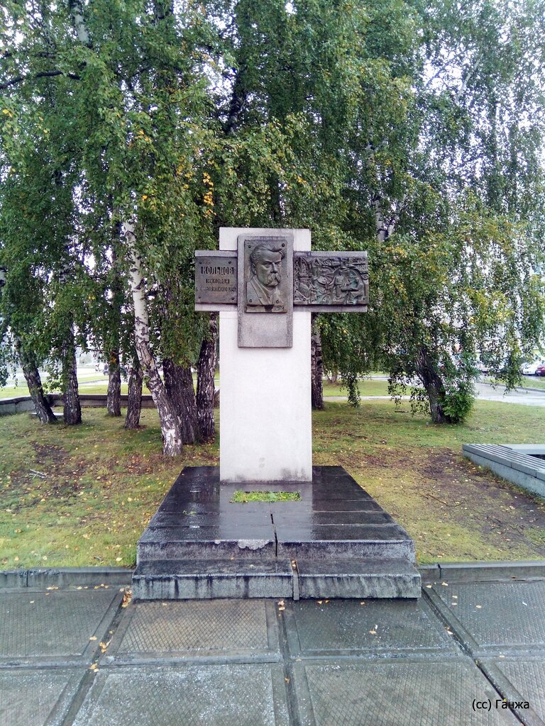 Anıt, heykel Н.К. Кольцов, Novosibirskaya oblastı, foto